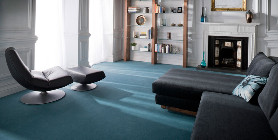 Sonia Angus: The Campaign for Wool